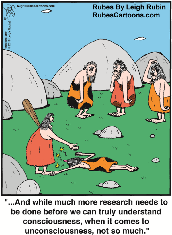 Rubes Cartoon: Consciousness - User Experience
